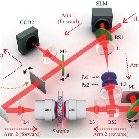 9 Phase Conjugation Method Download Scientific Diagram