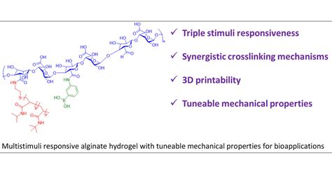 Harnessing The Interplay Of Triple Cross Linked Hydrogels Toward Multiresponsive Alginate Based
