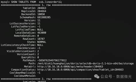 【建议收藏】apache Doris 常用命令速查手册 Powerdata Segmentfault 思否