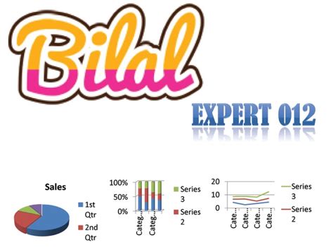 Make Professionaly Excel Charts Graph Excel Templates Pivot Tables By