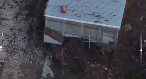 Преглед на вестите од светот Сител Телевизија