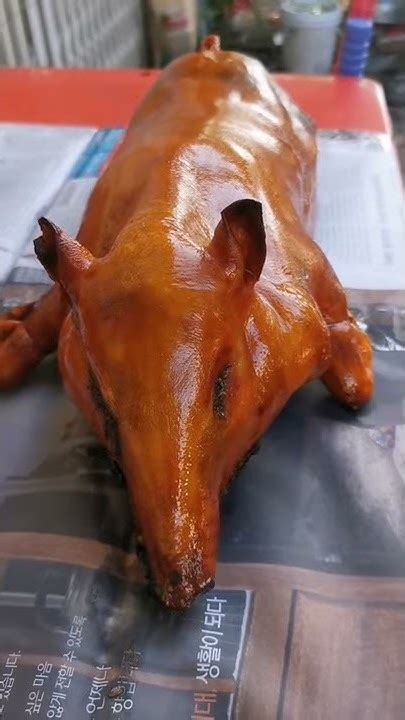 ជ្រូក កណ្តុរ ធម្មជាតិ ស្នាដៃរបស់ ពូម៉ៅ ជ្រូកខ្វៃ ខ្មែរ ឆ្ងាញ់ 015 252 929 Youtube