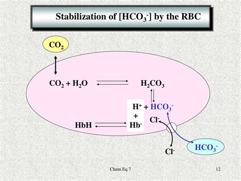 PPT Buffer Systems Of The Body PowerPoint Presentation Free Download ID 4264848