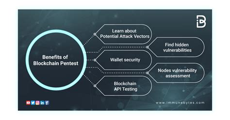 Crypto Vulnerability Management How To Do It Immunebytes