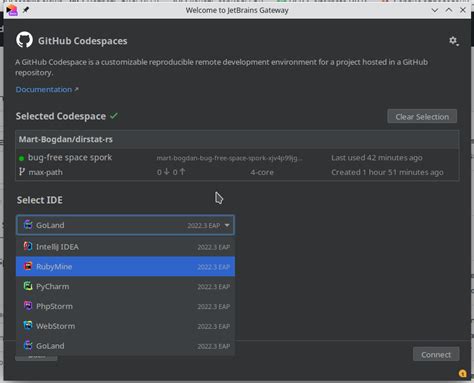 clion not avalable in github spaces avaliable via ssh · issue 44