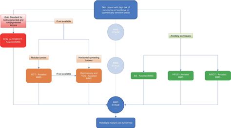 Noninvasive Diagnostic Techniques In The Preoperative Setting Of Mms Download Scientific