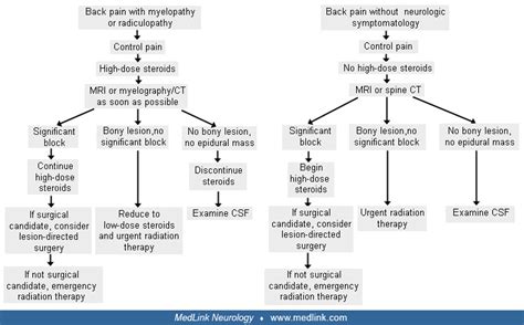 Metastatic Epidural Spinal Cord Compression Medlink Neurology