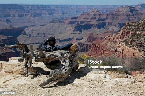 케이프 로얄 로드 그랜드 캐년 국립 공원 애리조나 미국 0명에 대한 스톡 사진 및 기타 이미지 0명 가을 건조한 Istock