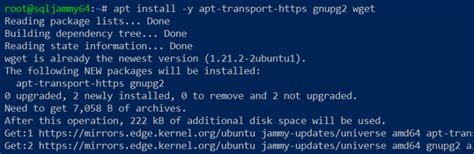 How To Install Microsoft Sql Server On Linux Are You An Sql Server Fan