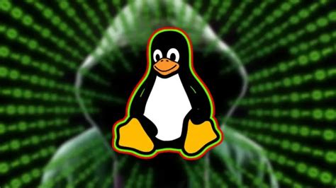 Mastering Linux The Complete Guide To Becoming A Linux Pro Cibernautas
