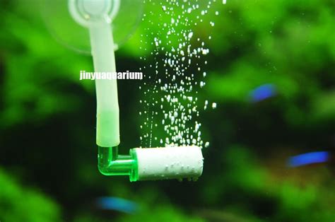 Aquarium Co2 Diy System Check Valve Bubble Counter Grandado