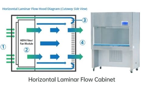 Vertical Vs Horizontal Laminar Flow Cabinets In Your Laboratory