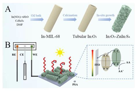 Photoelectrochemical Biosensor Based On 1d Znin2s4 Nanosheet Decorated