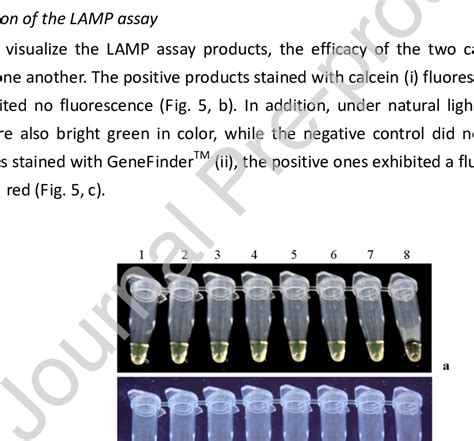 Comparing The Sensitivity Of The Lamp Assay A And Conventional Pcr