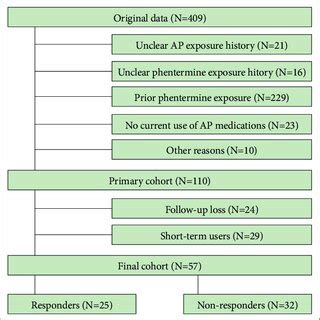 Participant Flow Chart Ap Antipsychotic Download Scientific Diagram