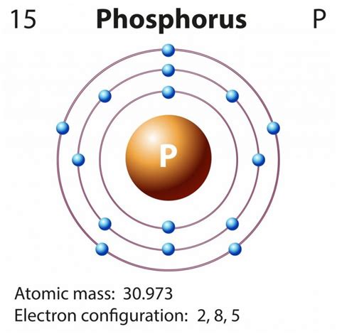 Phosphorus Definition Facts Symbol Discovery Property Uses