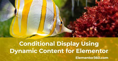 Conditional Display Using Dynamic Content For Elementor E360