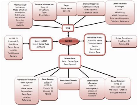 Database Structure Download Scientific Diagram