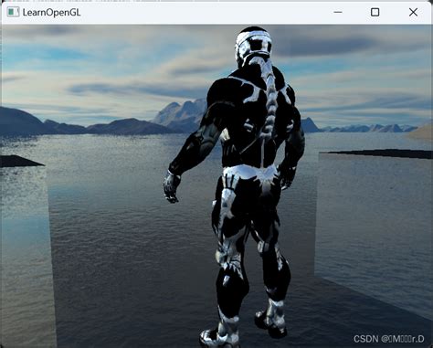 learn opengl 17 立方体贴图 csdn博客