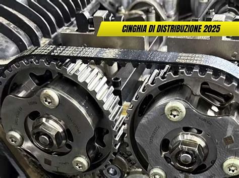 Cinghia Di Distribuzione 2025 Modelli Più Affidabili Costi Di