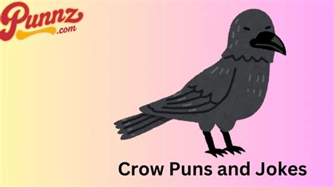 210 Crow Puns And Jokes Thatll Make You Caw With Laughter