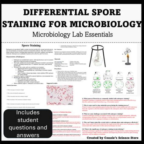 Microbiology Differential Spore Staining Lab Microbiology How To