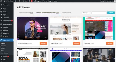 Adding Wordpress Themes And Plugins With Siteground Central Siteground Tutorials