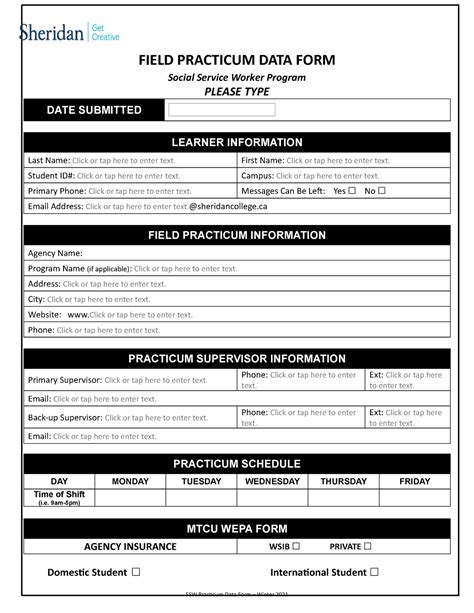 Ssw Field Practicum Data Form Field Practicum Data Form Social Service Worker Program Please