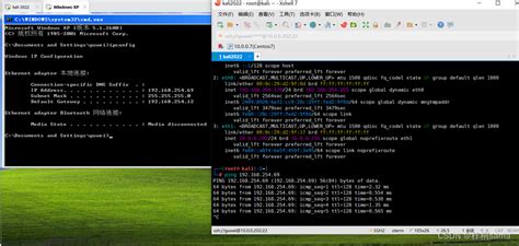 ms08 067 漏洞复现报告 csdn博客