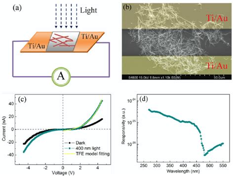 A Schematic Diagram Of A Photoconductive Apparatus For Measuring The Download Scientific