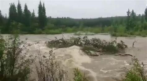 Bc Ranchers Still Waiting For Hay Financial Assistance After Chilcotin River Flood Cbc News