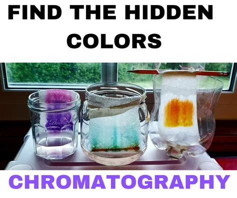 Chemistry Paper Chromatography Lab High School Science Made By Teachers