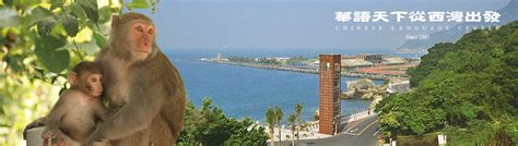 華語教學中心 Chinese Language Center