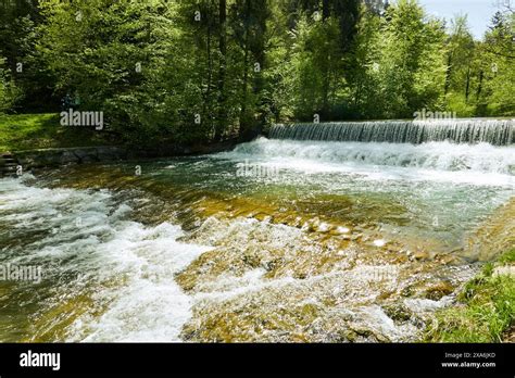 A Scenic Waterfall Cascading Through Trees With Tall Grass In The Toss Region Near Zurich Stock