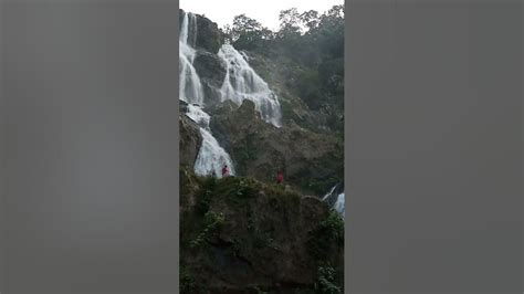 Wathor Fol Bagicha🏝 Chatisghar Youtube Subscribe Youtube