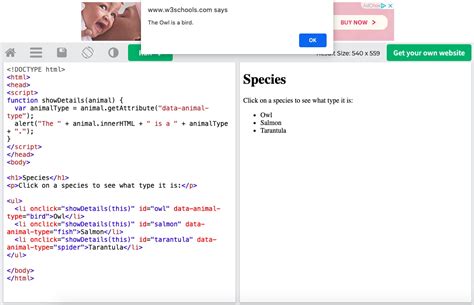 The Ultimate Guide To Html For Beginners How To Write Learn And Use It