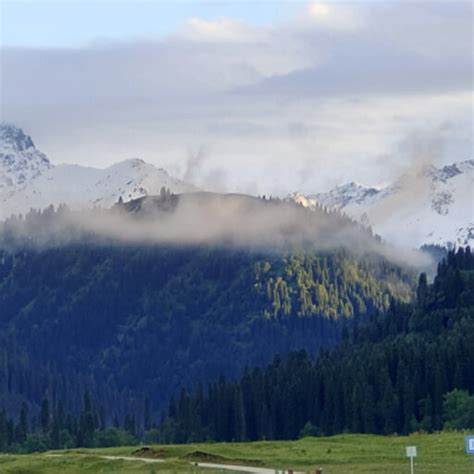 Yifan Li Qingdao Agricultural University Qingdao Research Profile Yifan Li Qingdao Agricultural University Qingdao Research Profile