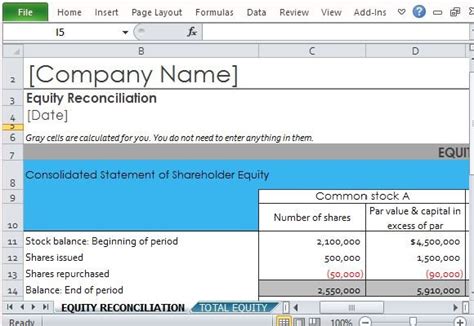 Shareholder Equity Report Template For Excel