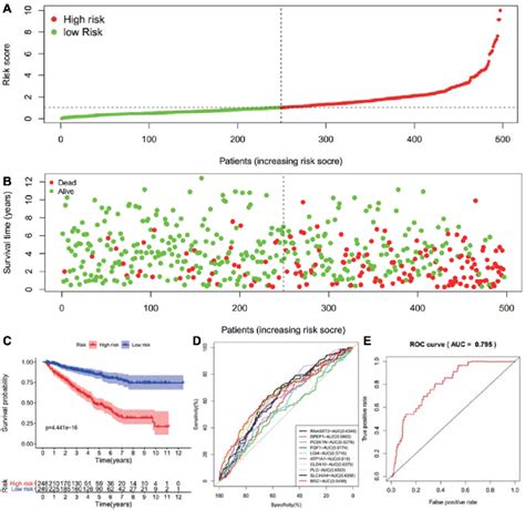 Construction Of A Prognostic Risk Assessment Model Based On 10