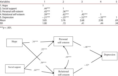 Means Standard Deviations And Intercorrelations For Measures