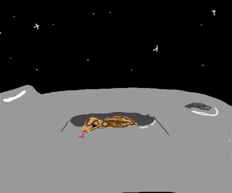 Python On The Moon Drawception
