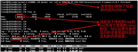 应用lxcfs来解决容器内获取cpu 内存不准的问题 csdn博客