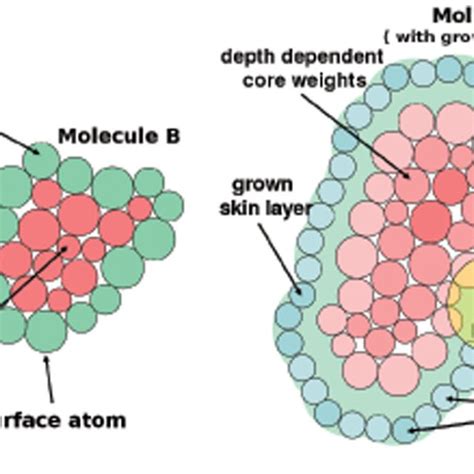 Definition Of Skin And Core For Shape Complementarity Left Download Scientific Diagram
