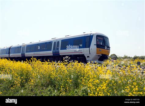 Chiltern Railways Class 165 Train Passing Lineside Flowers King`s Sutton Northamptonshire