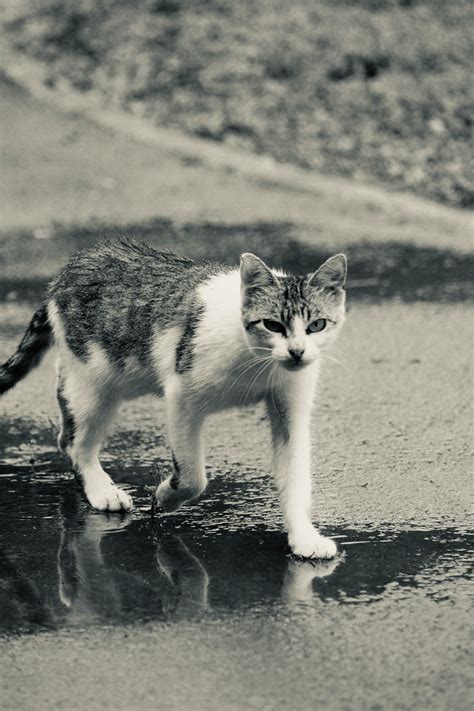 Cuteboyjakolpinoy Photos Download The Best Free Cuteboyjakol