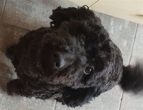 Year 3 Maths Bundle Teaching Resources