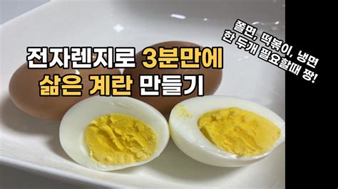 자취꿀팁 전자렌지로 삶은계란 만들기 3분이면 충분합니다 Youtube