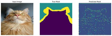 Image Segmentation Tensorflow Core