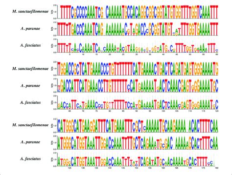 Msasat01 177 Sequence Logos Where Differences Between Consensus Download Scientific Diagram