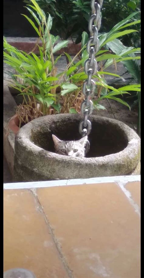 Hope Cerna Castillo On Linkedin Now Is The Time For Me To Enjoy The